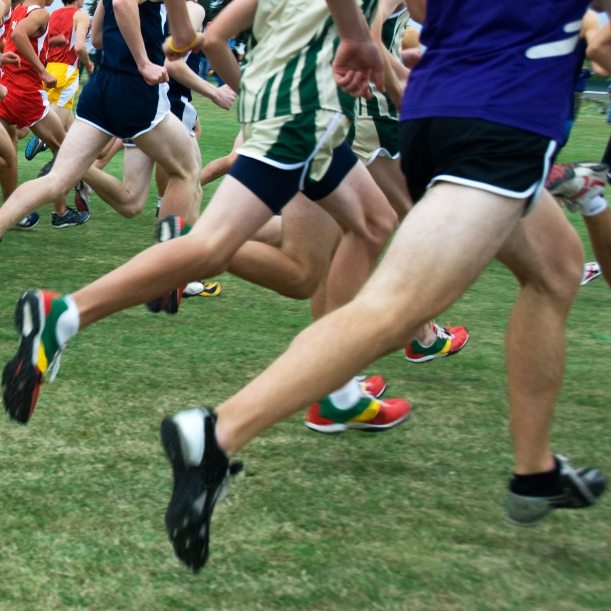 JISD middle school cross country teams run to 6 district titles ...