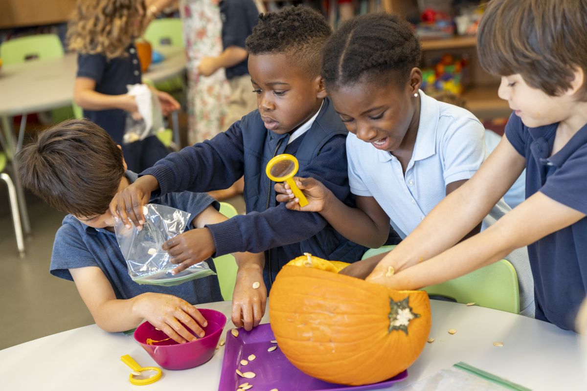 Pumpkin-Powered Learning: Kindergarteners Explore Through Hands-On ...