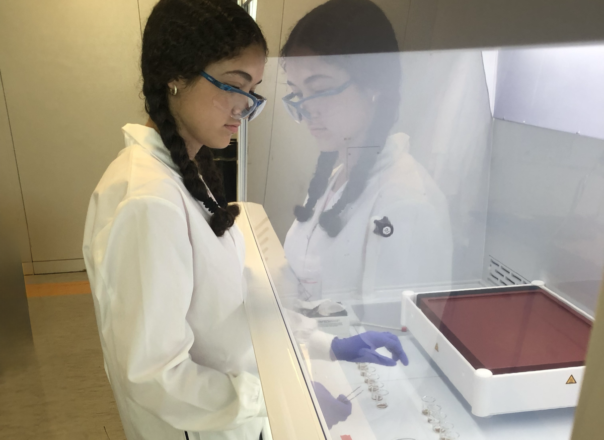 Fox Friday: Eliana Chiariello Works to Identify the Origin of Painted ...