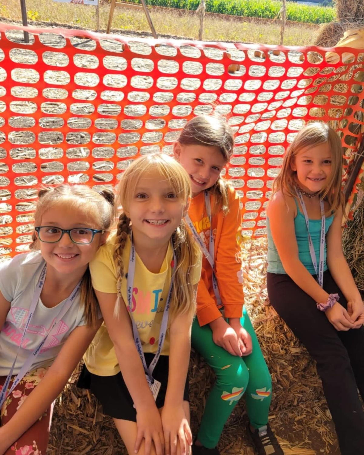 Ferrari Farms | Details