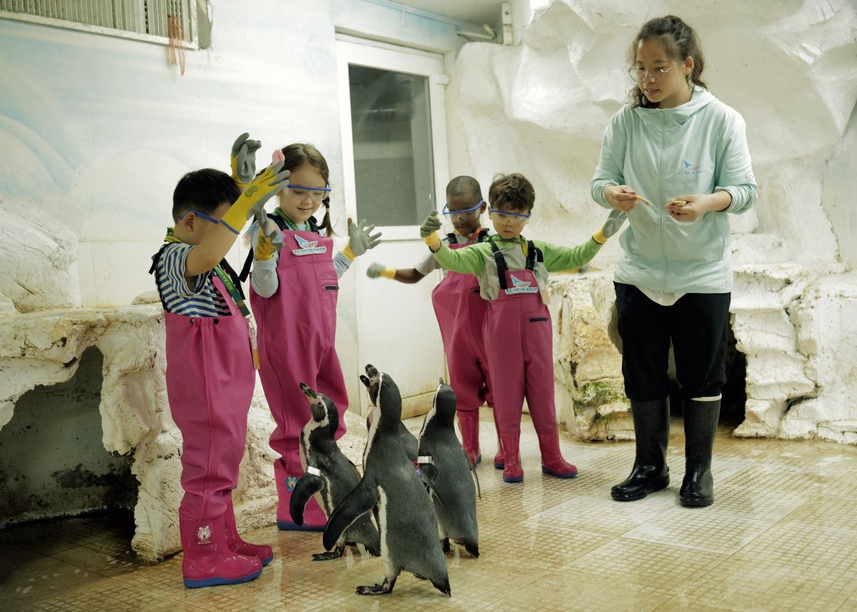 Early Years Explores the Underwater World | Article