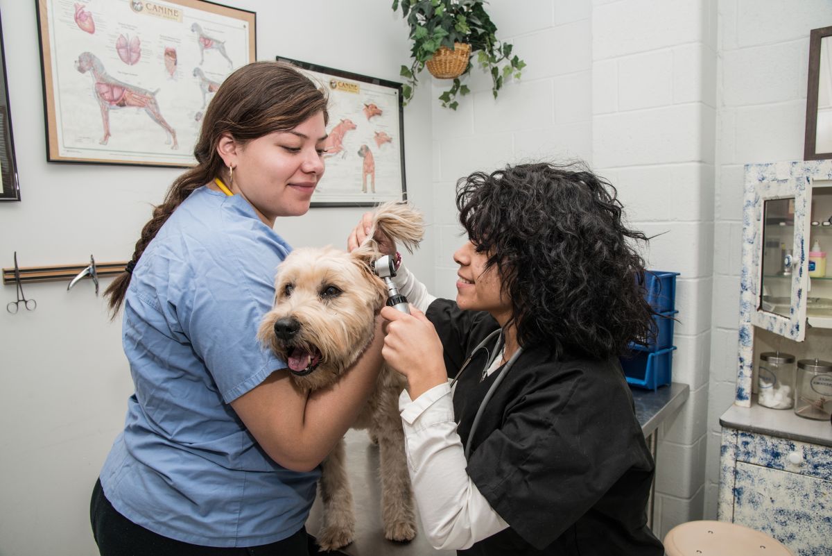 Nassau BOCES invites Long Island students to discover their passion at ...