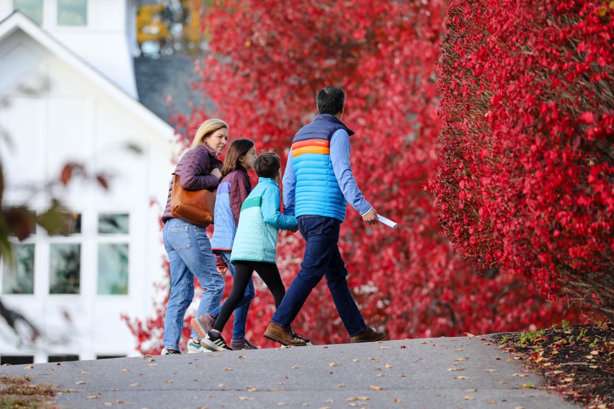 Articulating Proctor's Why: Helping Students Find Something to Love ...