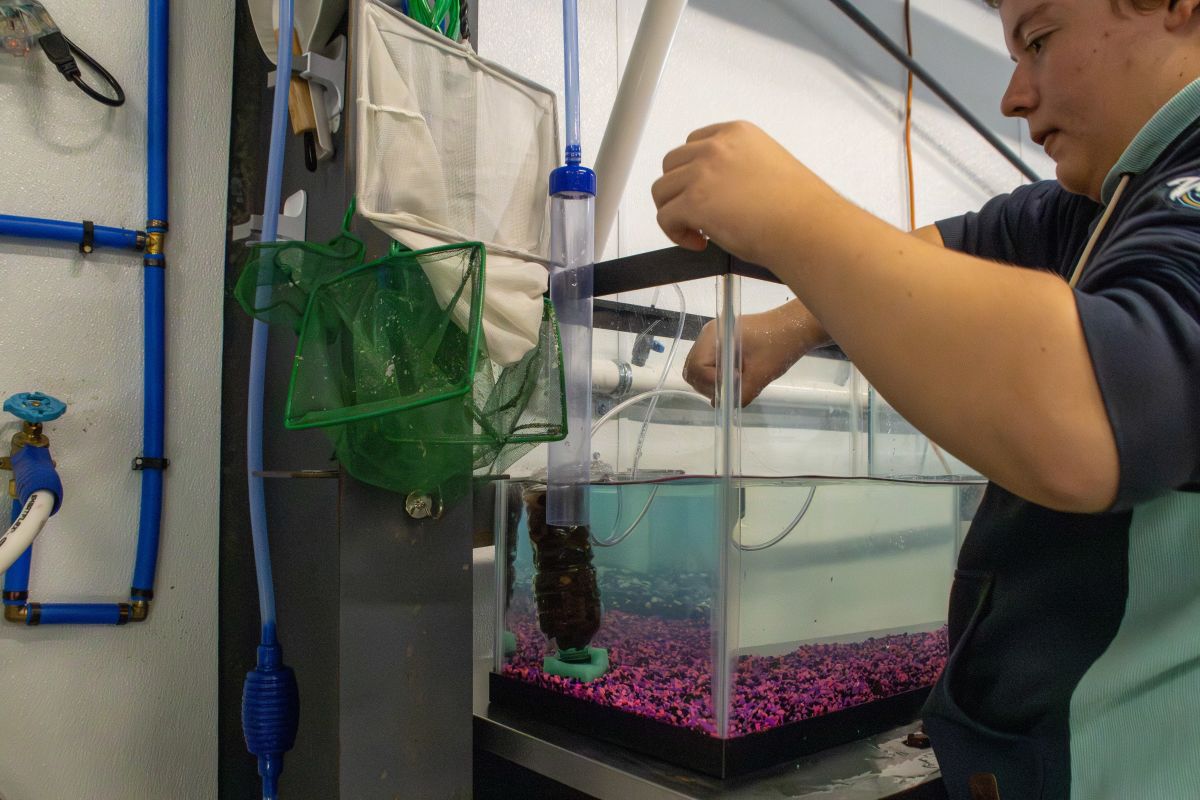 FHS students learning how to grow fish and more in new aquaculture lab ...