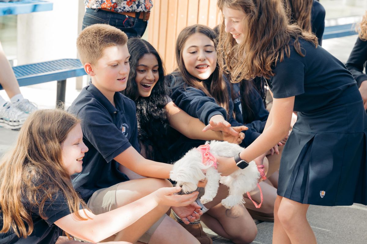 Pawsitive Impact: How Therapy Dogs (and Pets!) Transform Student Well ...