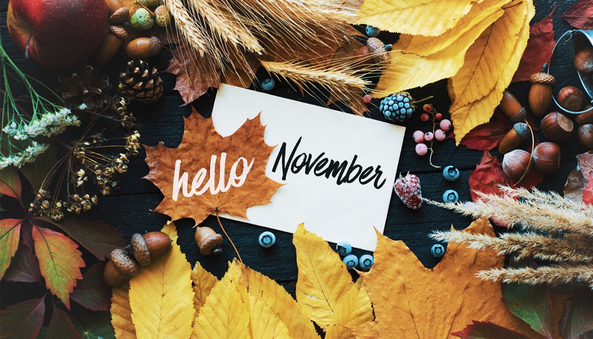 Hello November 2024