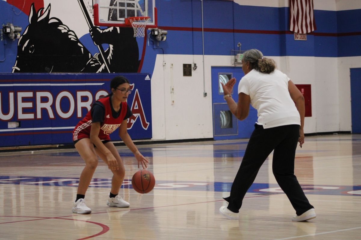 HLPUSD’s Los Altos High School Basketball Teams Prepare for 2024-25 ...