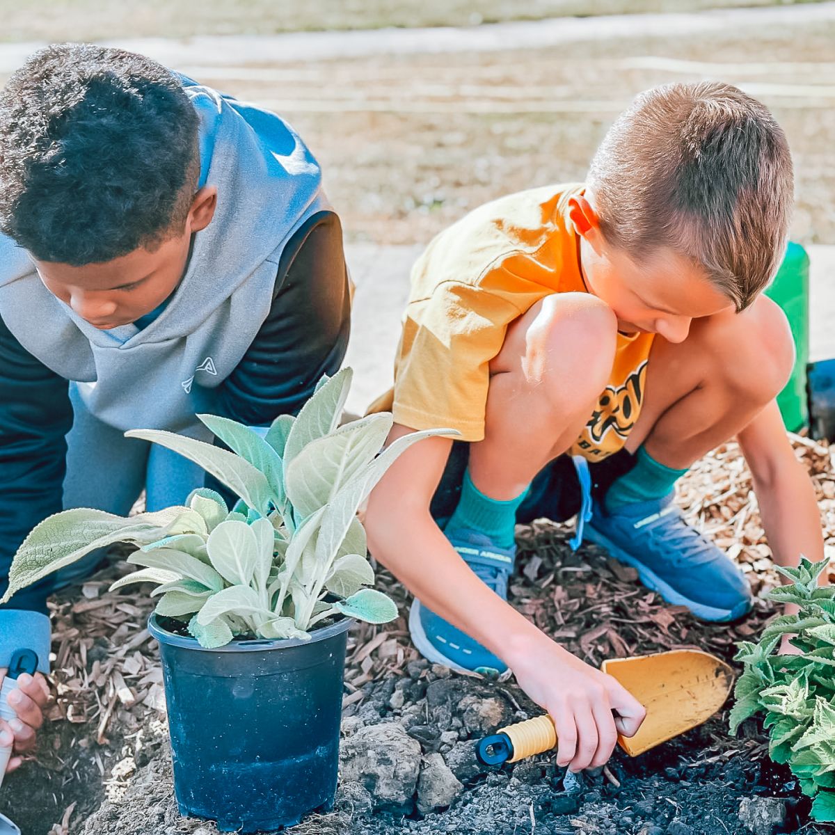 Electric Vehicles Advance ICCSD Climate Action Plan | Post Details