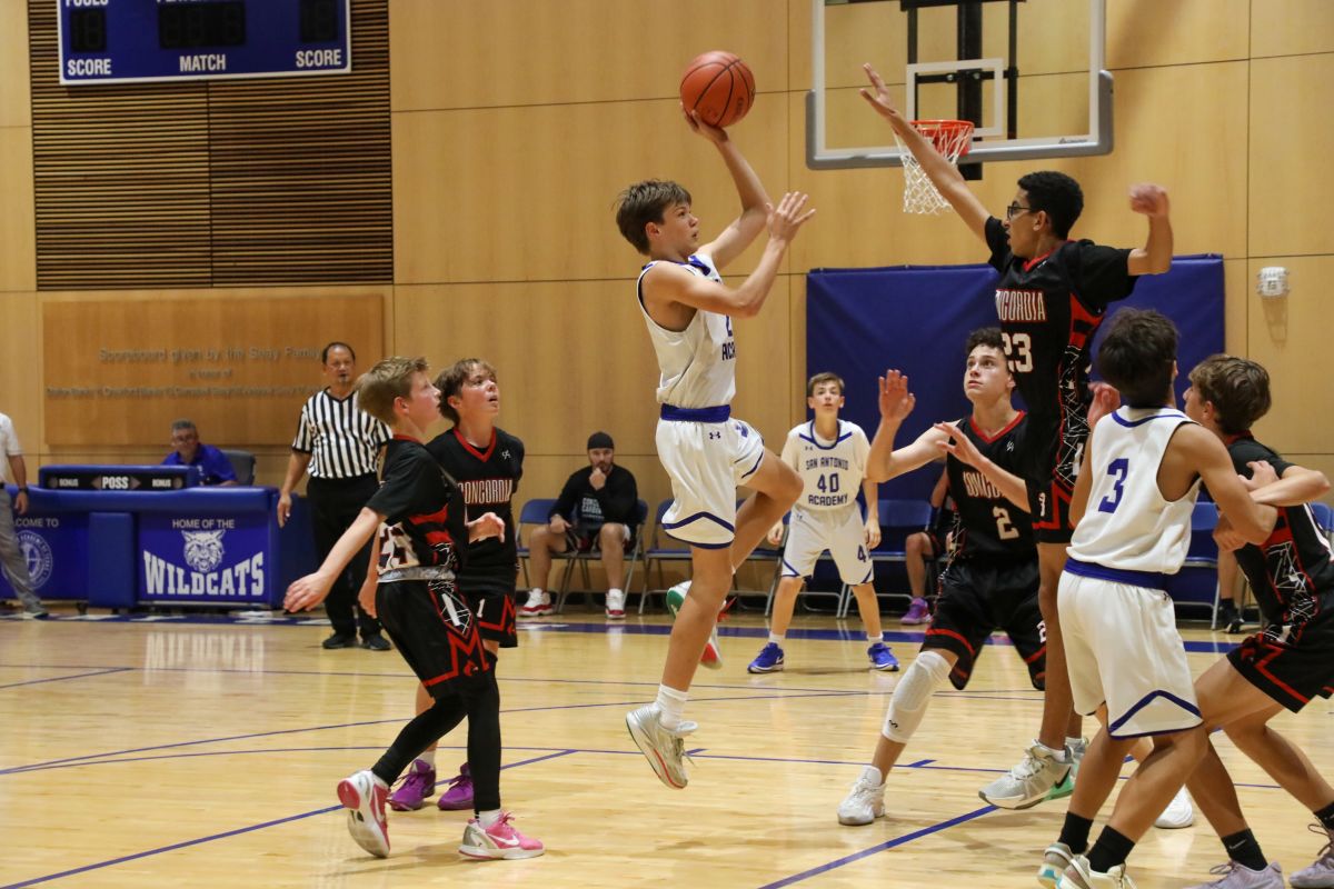 2024 Wildcat Basketball Teams Claim Victory in Season Openers | Details