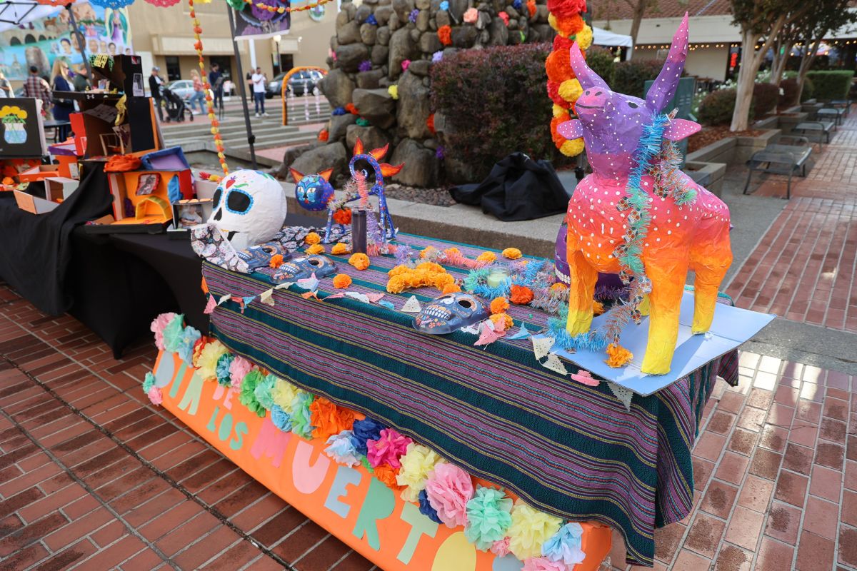 Honoring Tradition, Celebrating Life: A Napa Valley Día de los Muertos ...
