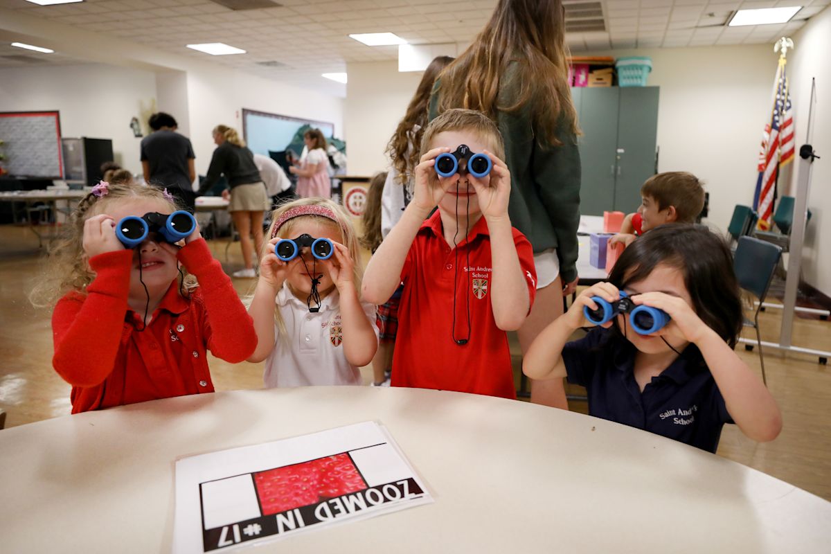 A Journey Through the Five Senses | Scots in Action story