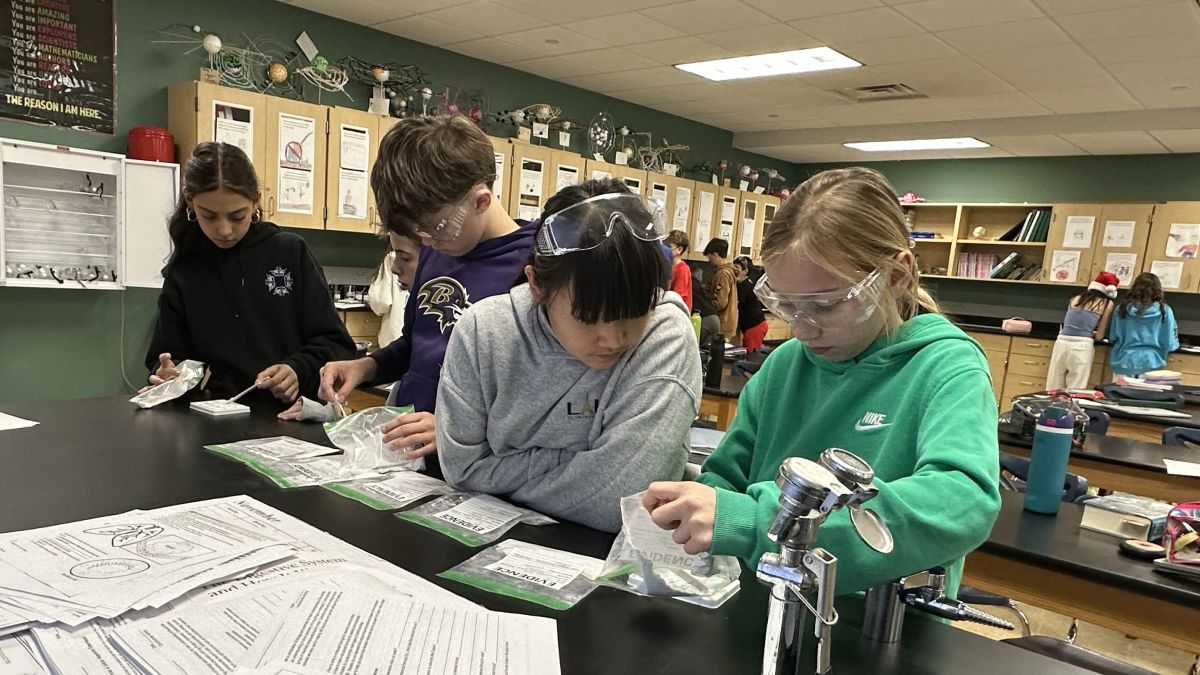 Mystery of Missing Donuts Engages Science Students | News Details