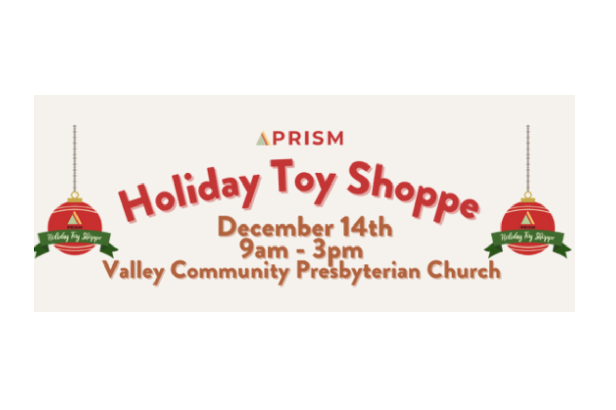 PRISM Toy Shoppe | article