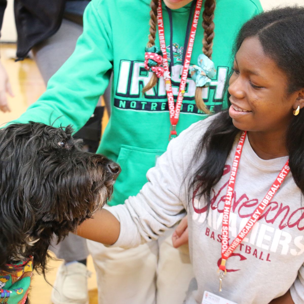 Therapy dogs visit McAuley | School News