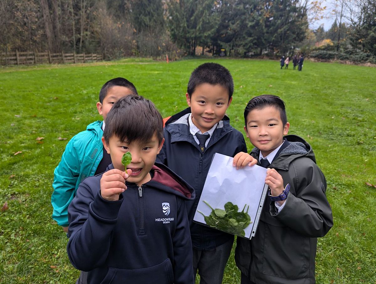 Grade 3 Students Explore the Healing Powers of Frog Leaves | Blog Post ...
