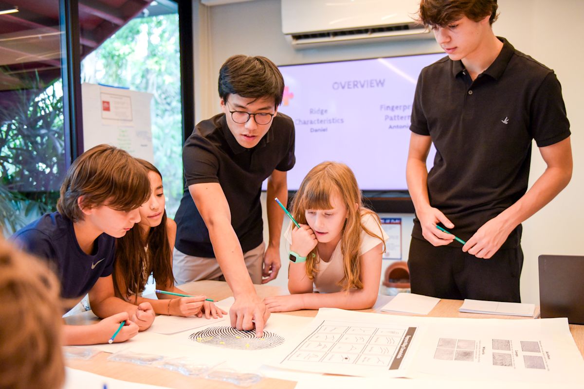 High School Integrated Science and Grade 3 Students Collaborate on ...