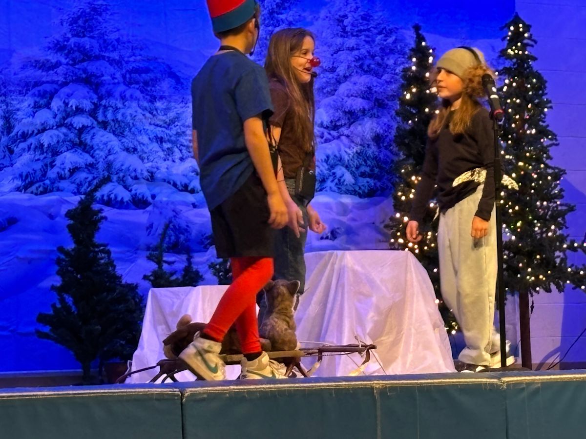 Mr. D'Annibale's class performs Rudolph the Red Nose Reindeer | Post ...