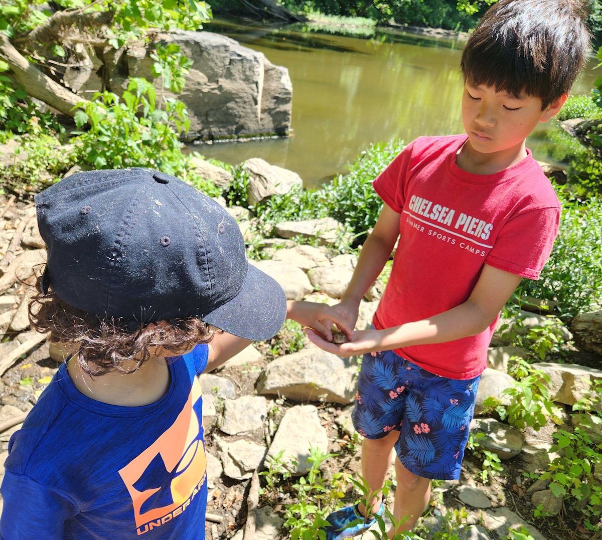 Native Animal Explorers | Camp Details
