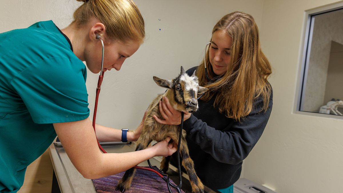 Veterinary Assistant School Oklahoma - Moore Norman Technology Center
