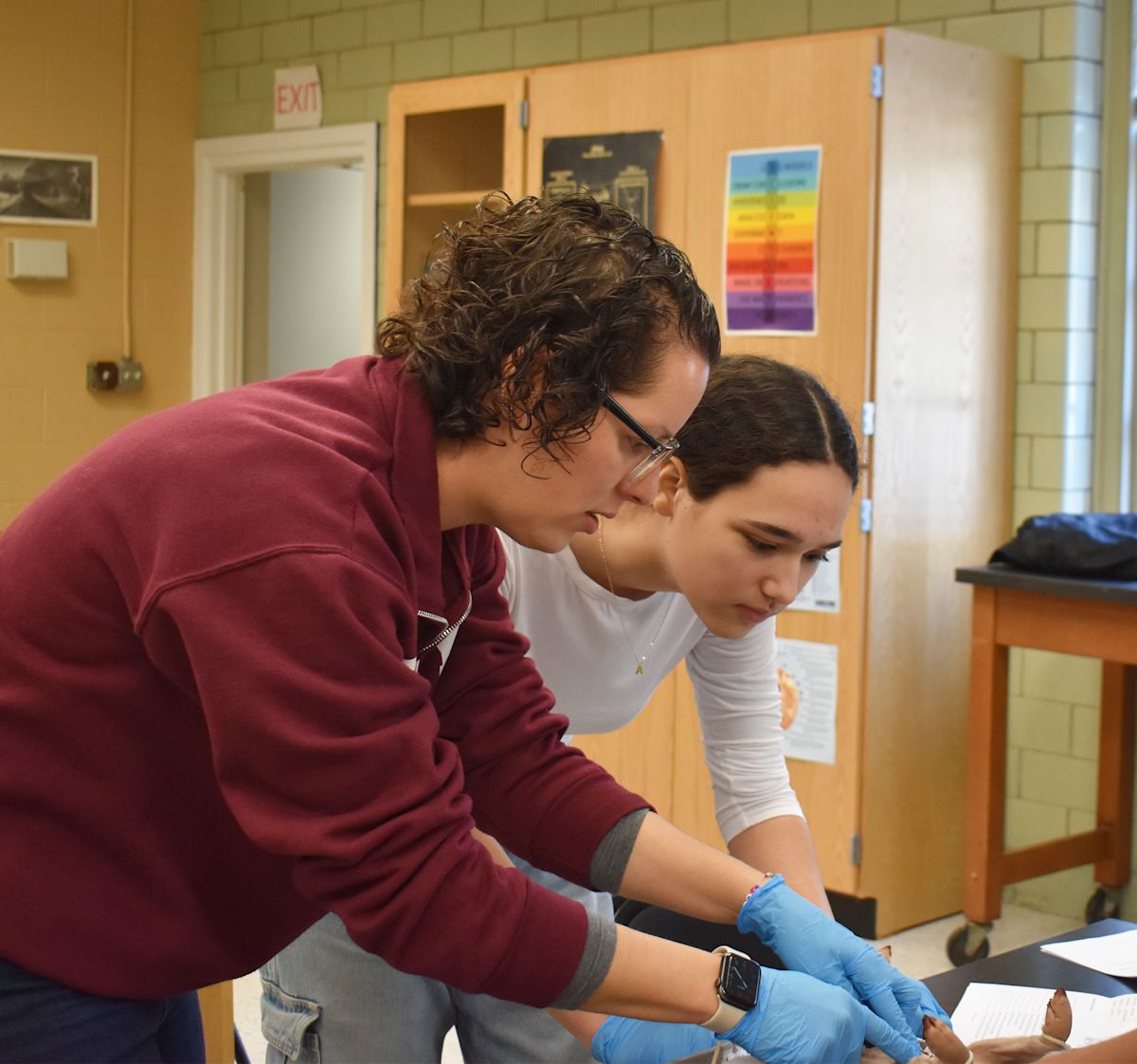 Honors Biology Students Study Anatomy Via Dissection | Featured News