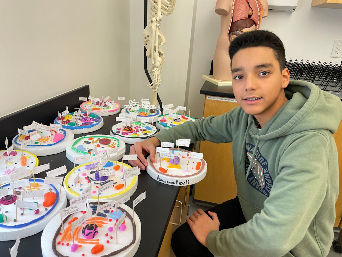 NHS Students Create 3-D Models of Cells in Biology | news details