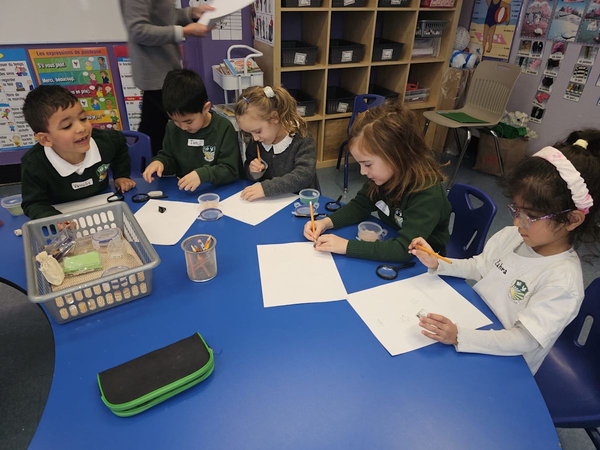 Scientist in School 2025 - JK/SK/Grade 1