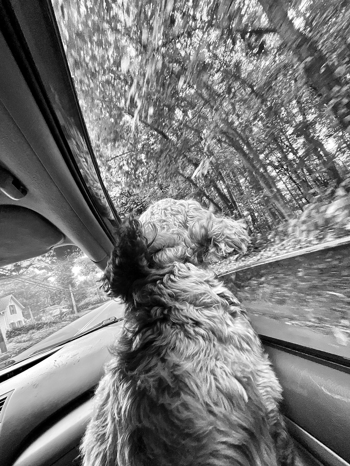 NHS Announces 2024-2025 Scholastic Art Awards Winners | News Posts