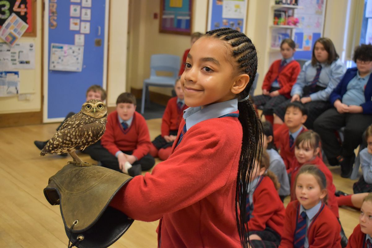 Airthrie Adventure Day Brings Wonderful Wildlife to Life for Pupils ...