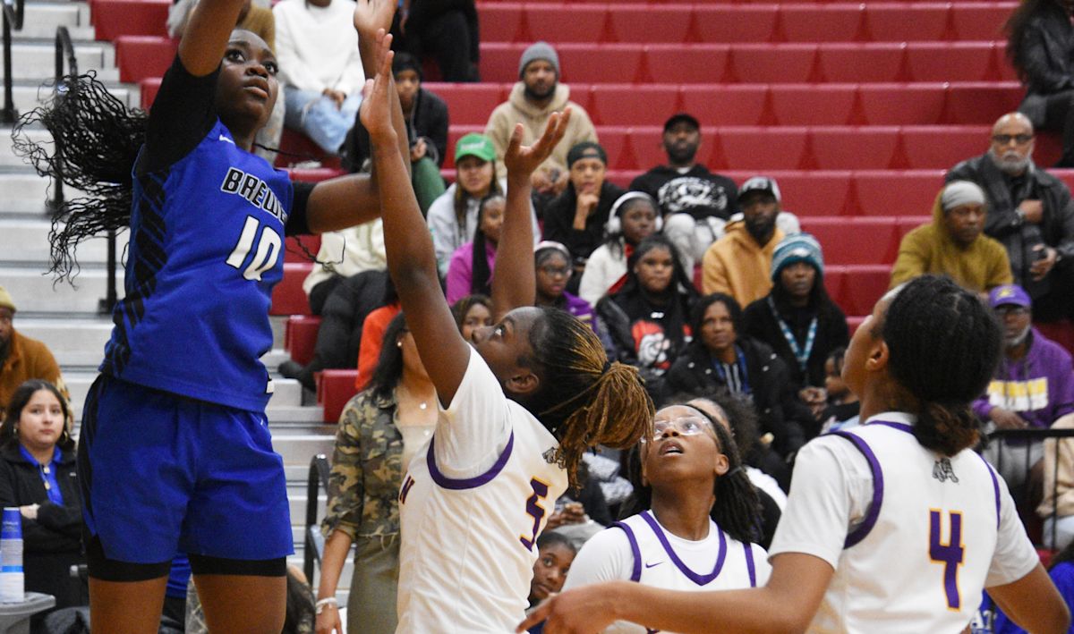 Lady Bears Basketball wins Area Championship, advances to Regional Semi ...