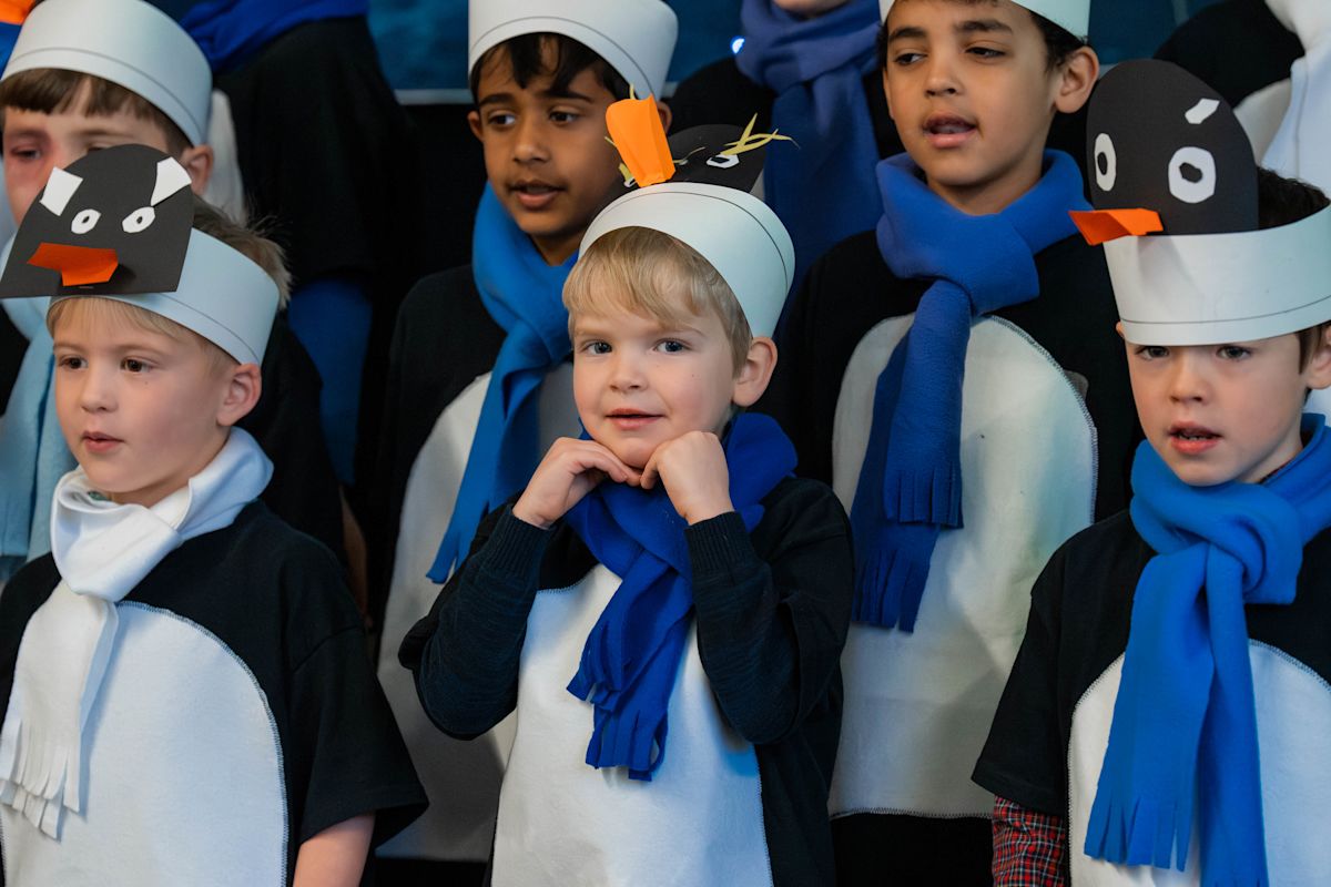 March of the Penguins: A Tradition of Learning, Creativity, and ...