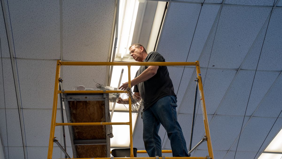 How many LED lightbulbs does it take to change Culver Academies ...