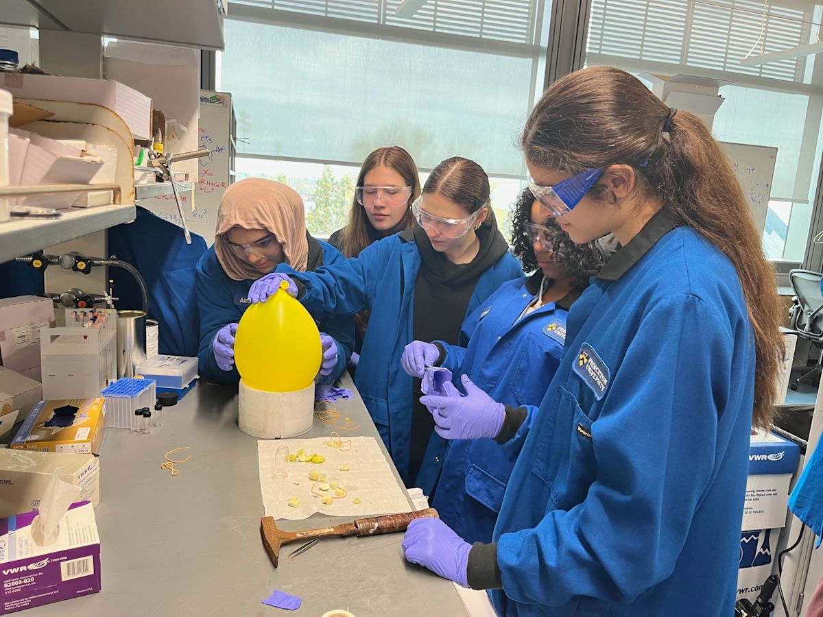 Chemistry students get hands-on experience at Princeton University ...