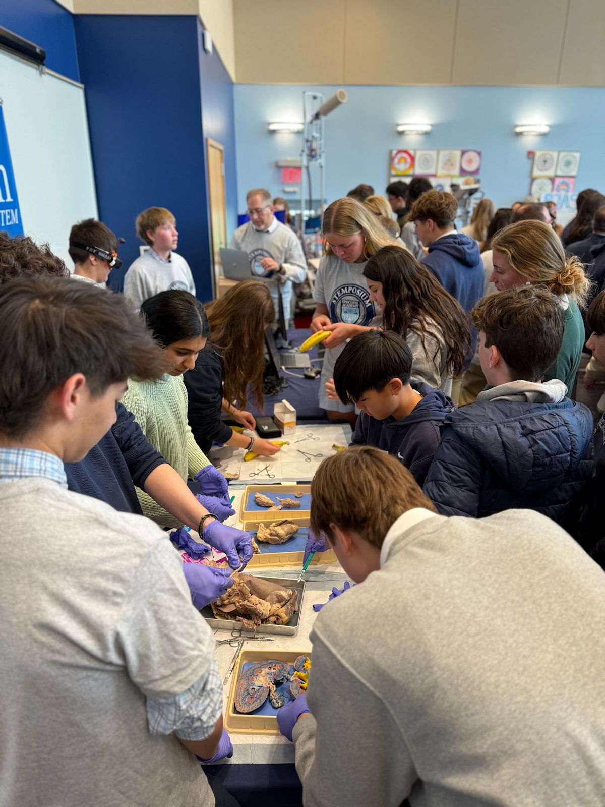 A School-Wide Celebration of STEM | Post Details