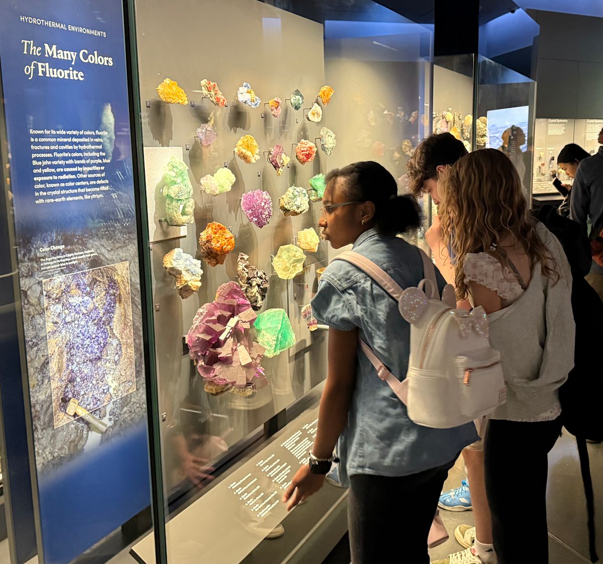 Middle Schoolers Visit American Museum of Natural History | Featured News