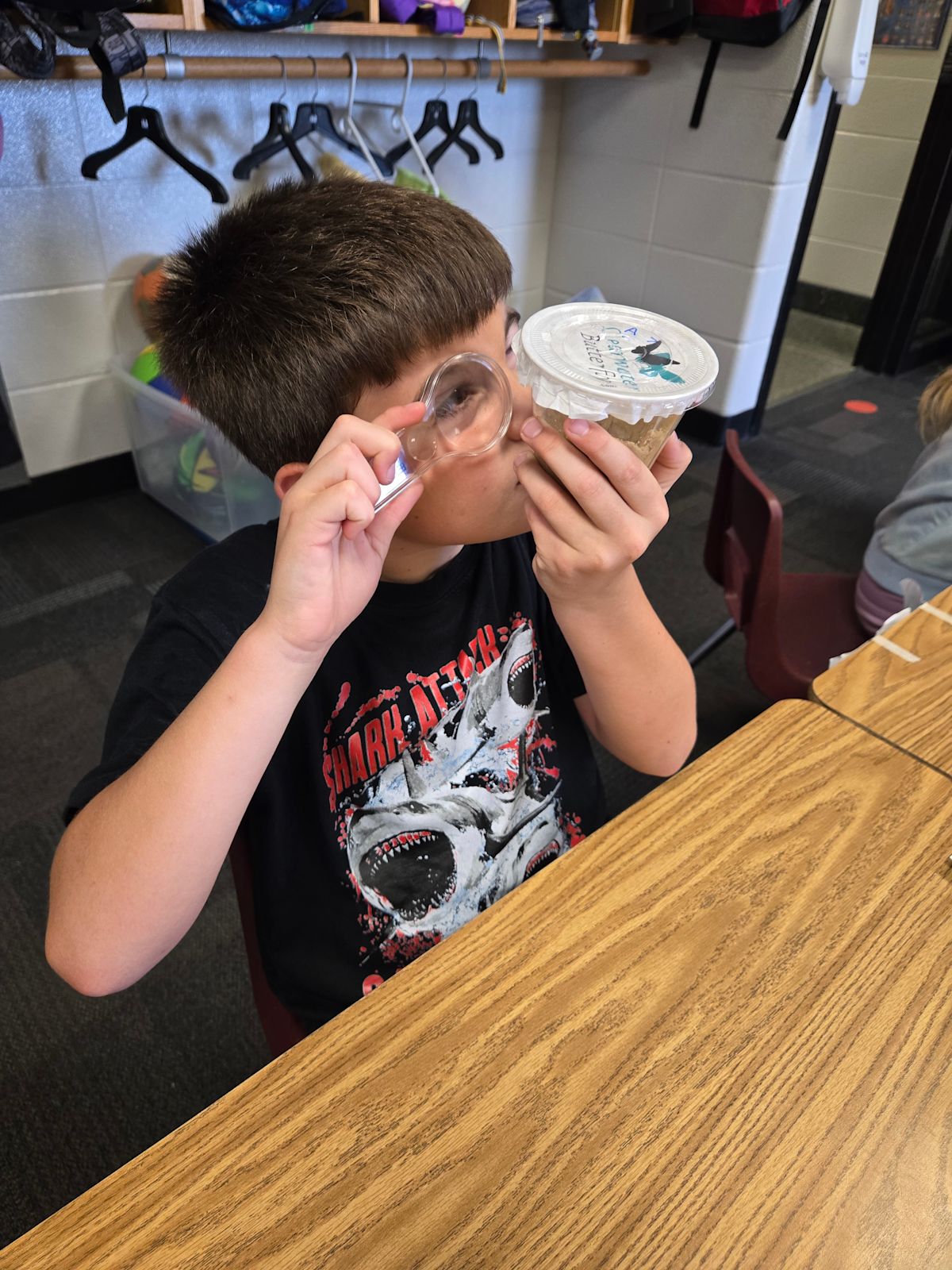 First Grade Scientists Explore the Life Cycle of the Painted Lady ...