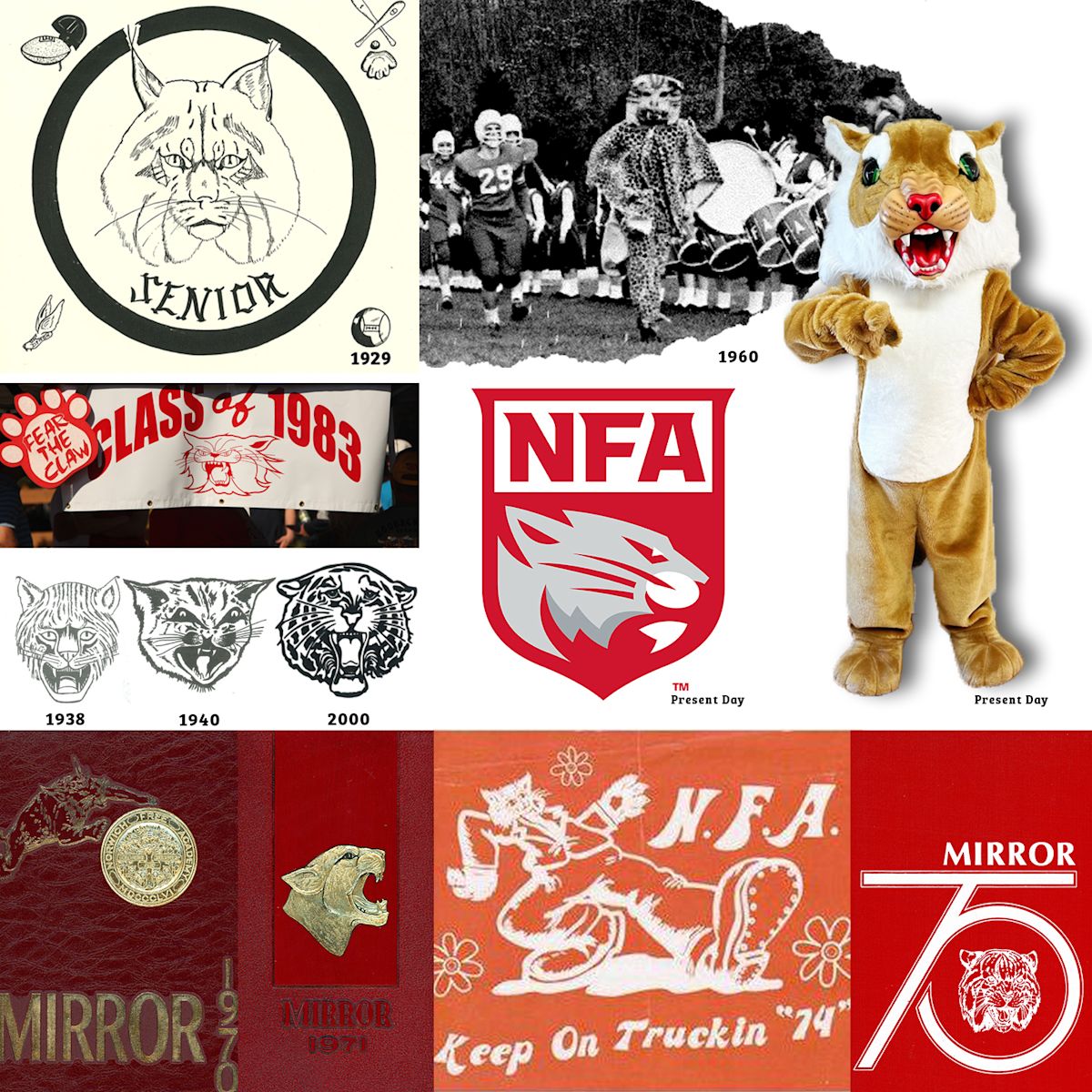 Wildcat Identity | Details