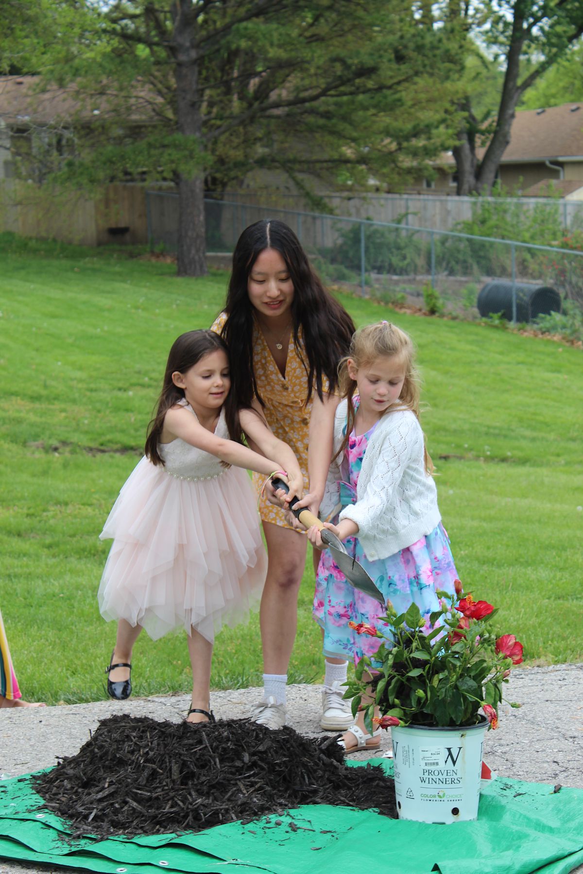 Acorn Day Celebration 2025 | News Details