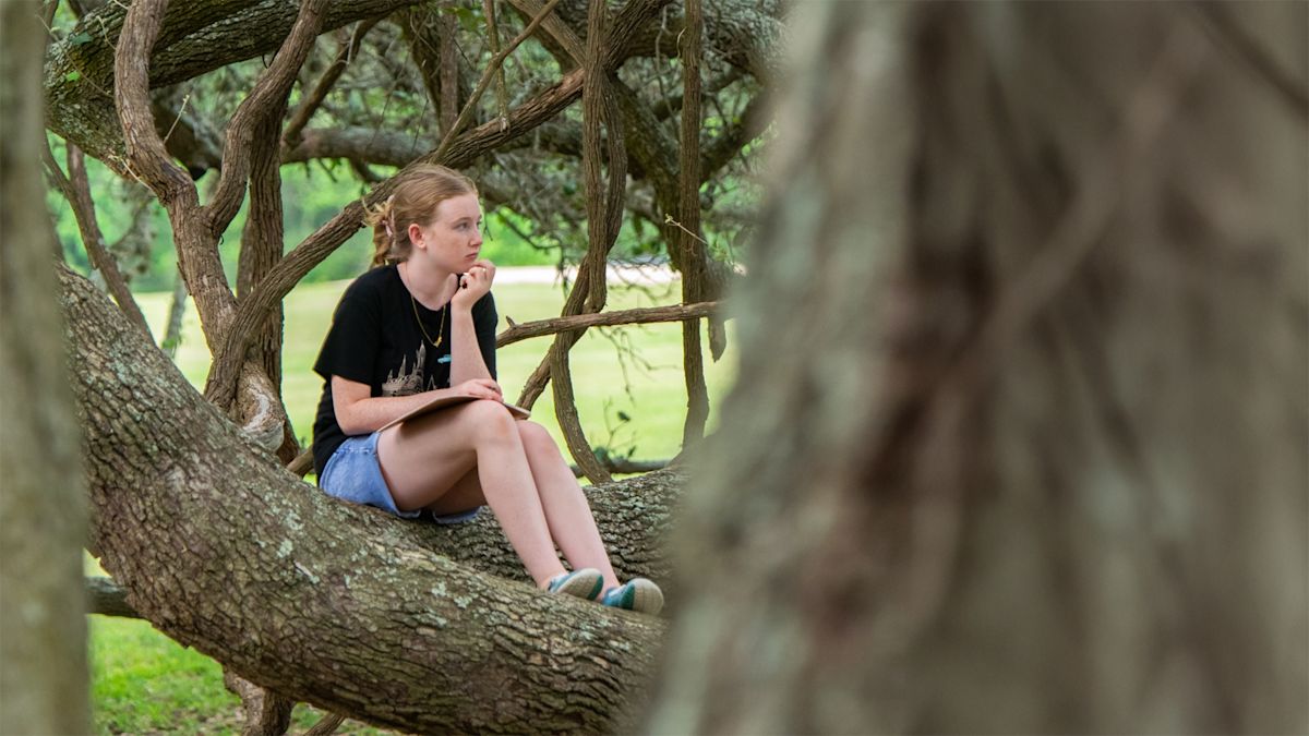 Slow-Growing Trees | blog post