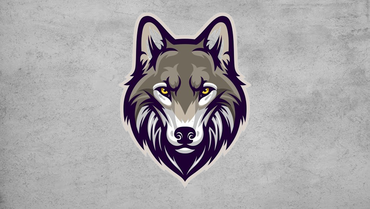 GCSD9 Announces New Mascot for Wilson 1-2 Education Center | Default ...