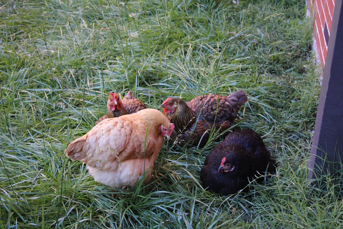 Ritenour Middle School Students Transform Courtyard into Interactive ...