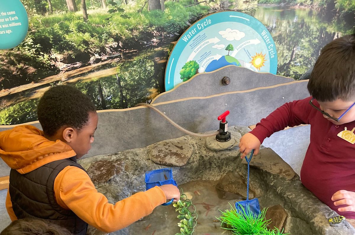 Friends of Rye Nature Center visit MVHA | News Details