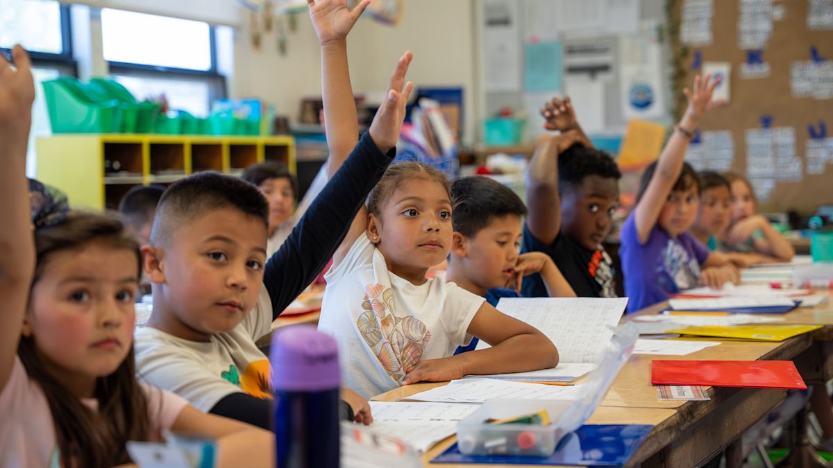Pillar 1: Equitable Opportunities, Equitable Outcomes | District News Post