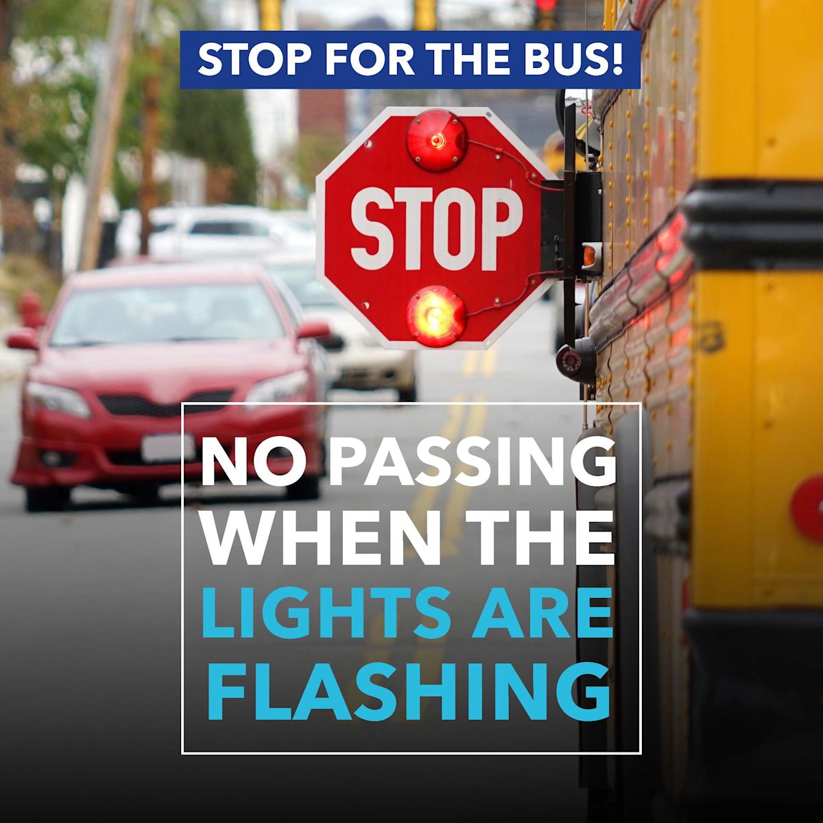 BusPatrol Enforcement Has Begun with Fines starting at $300 | Article