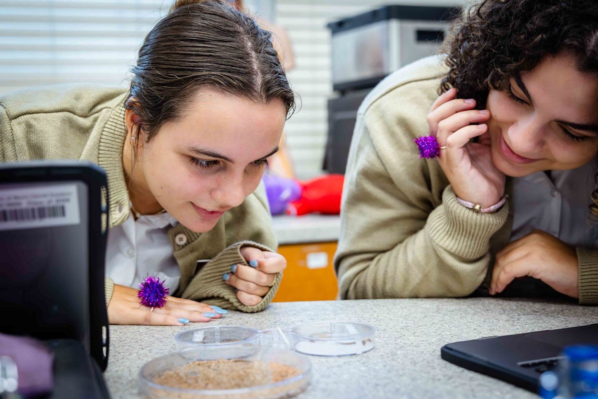 AP Biology: Exploring Animal Behavior | News Post General - Mount ...