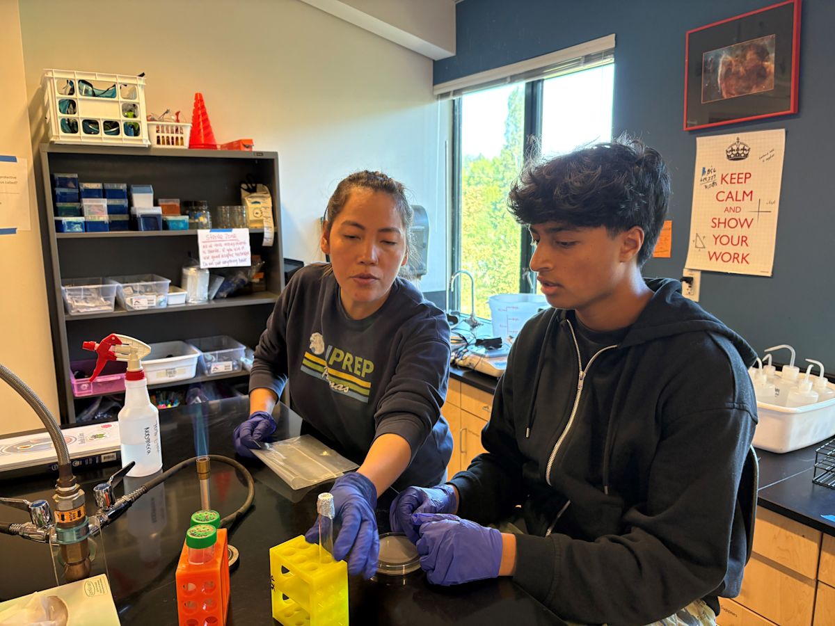 Microbiology Intensive Introduces an Authentic Lab Research Setting and ...