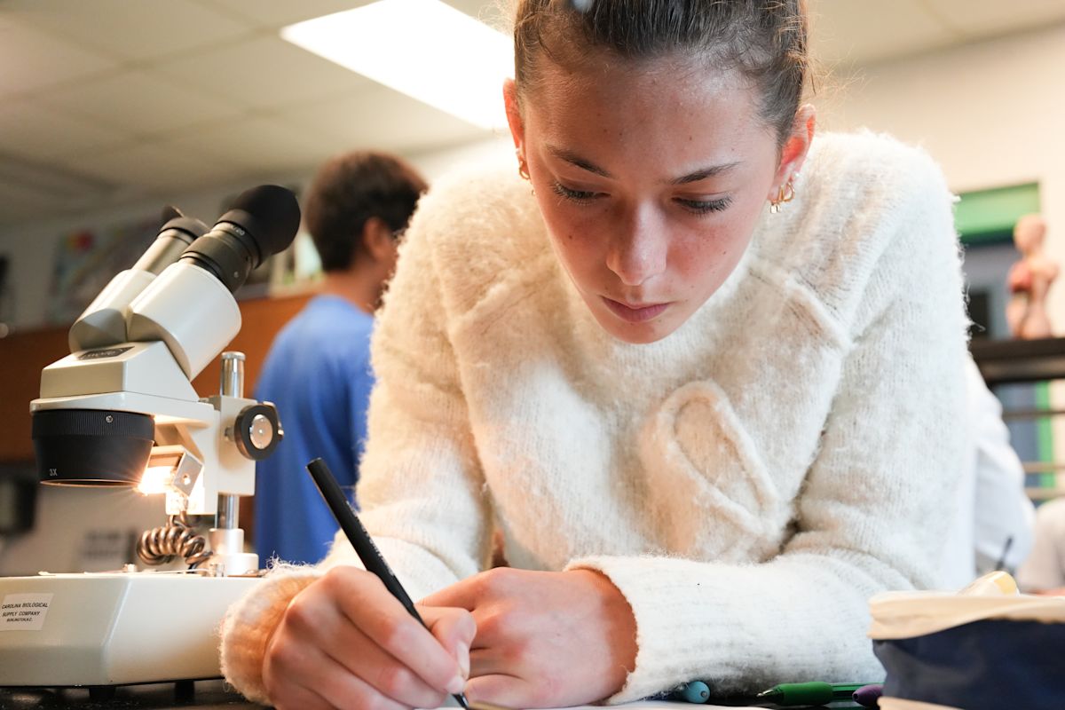 Microscope Magic in Mrs. Newman’s Middle School Science Class | Posts ...