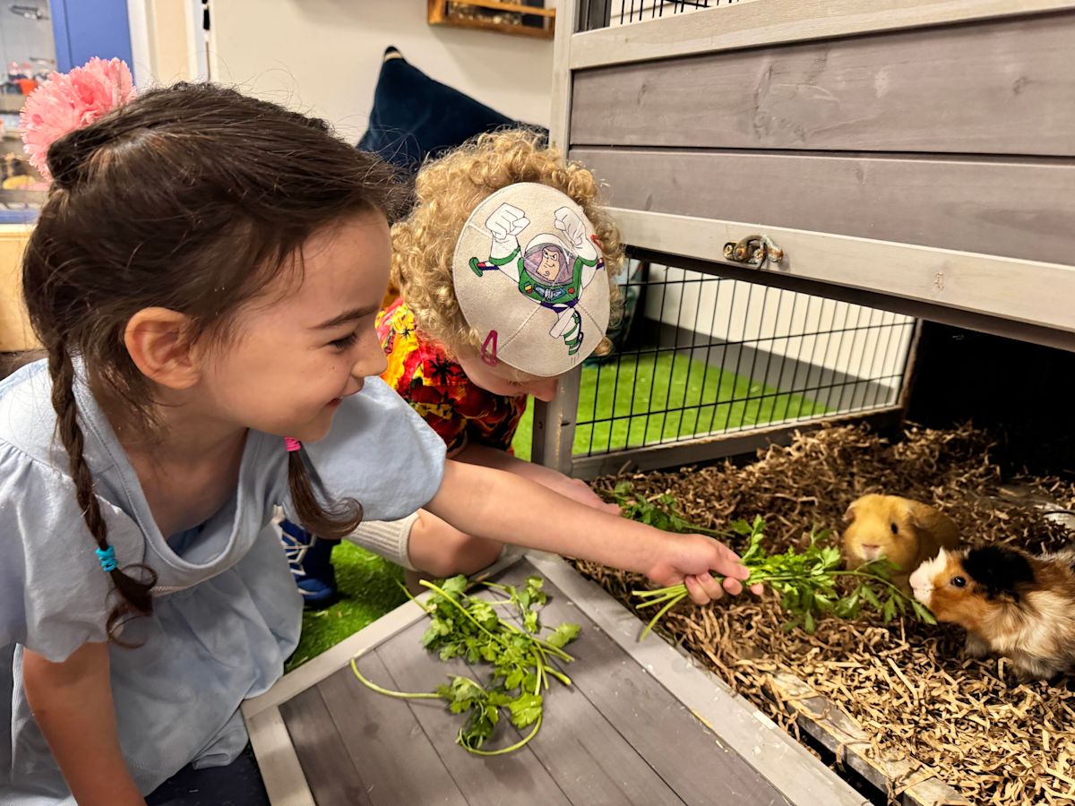 How Classroom Pets Foster Empathy & Responsibility | Inside the ...