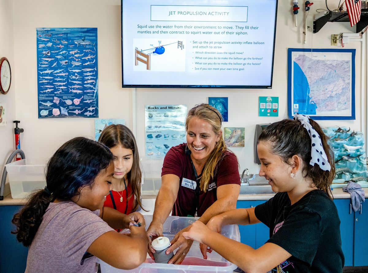 Port of San Diego Awards $60,000 Grant to Expand Environmental ...