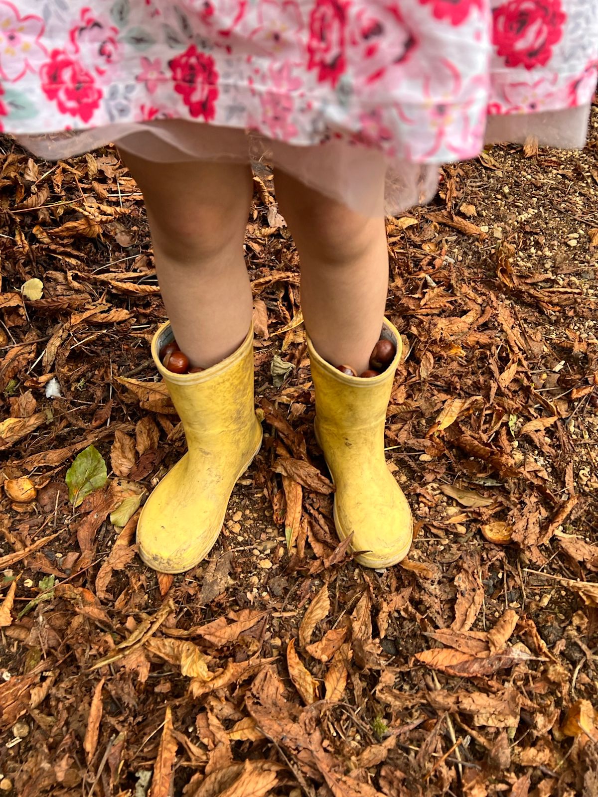 Autumn Adventures at The Paragon: New Forest School Partnership ...