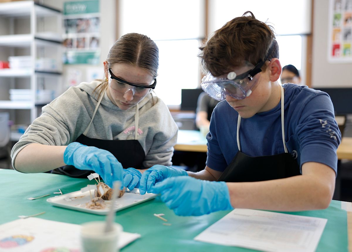 Discover, Create and Explore at Brentwood’s First-Ever STEM Fest | News ...